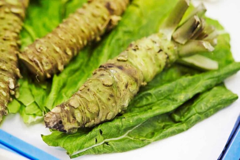 Horseradish Substitutes, the List and Sauce Recipe